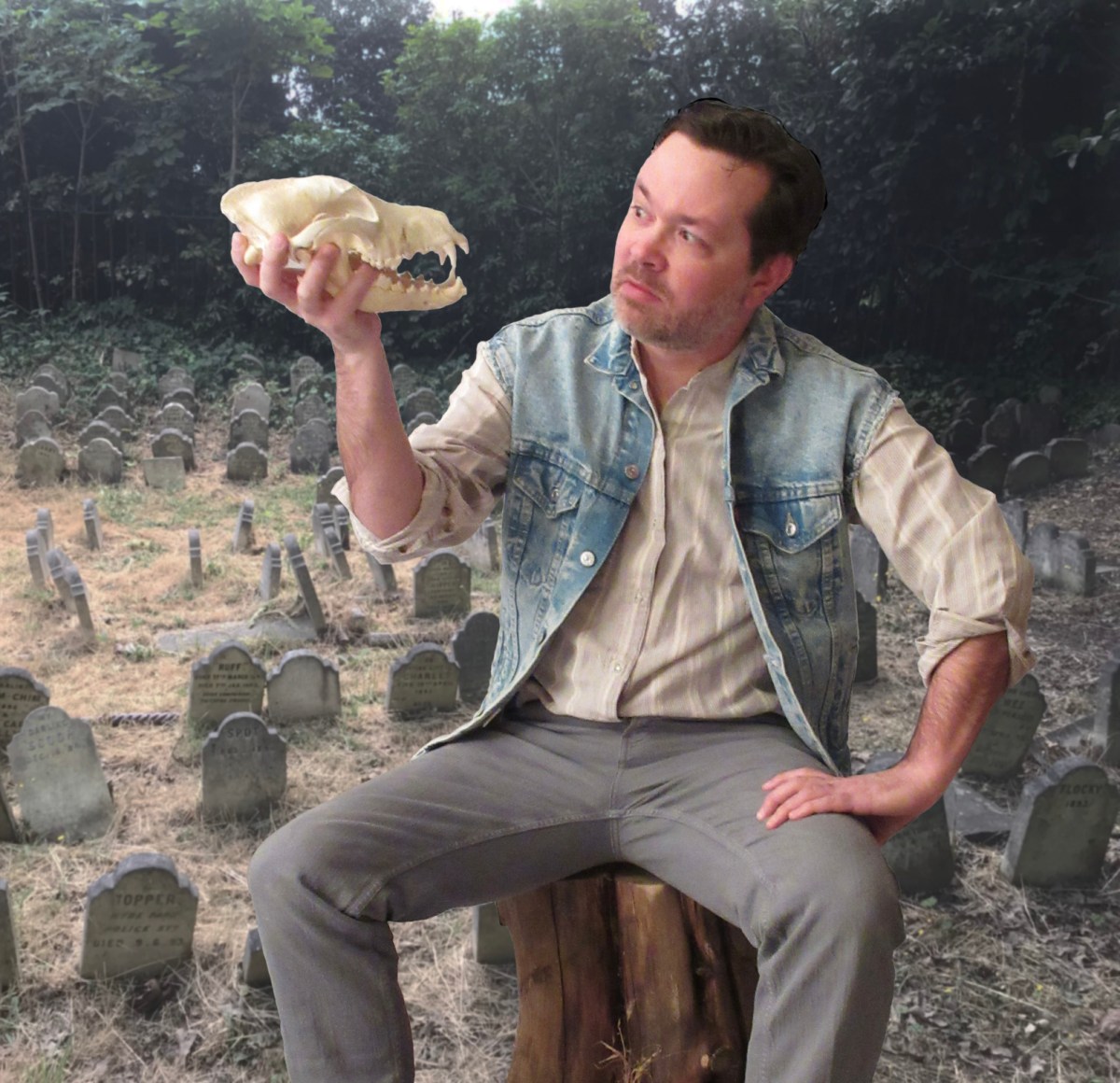 Dog Logic at Theatre in the Round Players – The Stages of MN